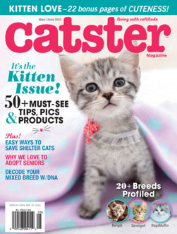 Magazine Gold Card - Lucky Rhino